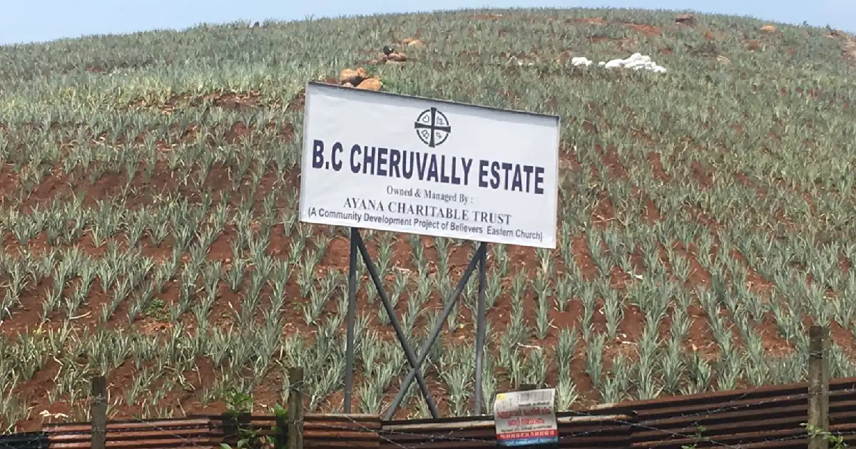 Sabarimala Greenfield Airport Land,ശബരിമല വിമാനത്താവളത്തിൻ്റെ ആദ്യഘട്ടം ...