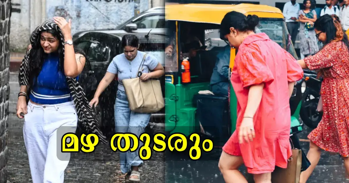 Kerala Yellow Alert Today,നാല് ദിവസത്തേക്ക് അതിശക്തമായ മഴയ്ക്ക് സാധ്യത ...