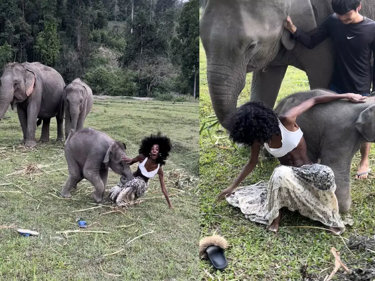 Travel Influencer Megan Milan,യുവതിയ്ക്ക് നേരെ പാഞ്ഞ് അടുത്ത് ...