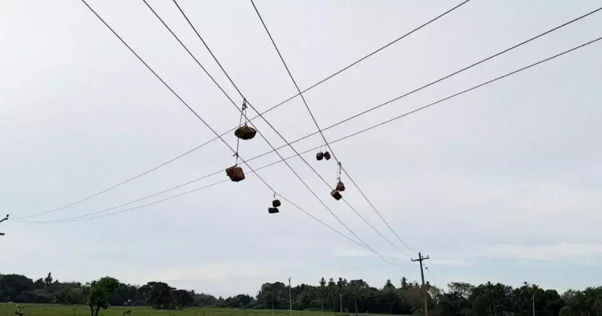 Sethiathoppu Power Line Tied With Bricks,கடலூர்: மின் துறை அதிகாரிகளின் ...