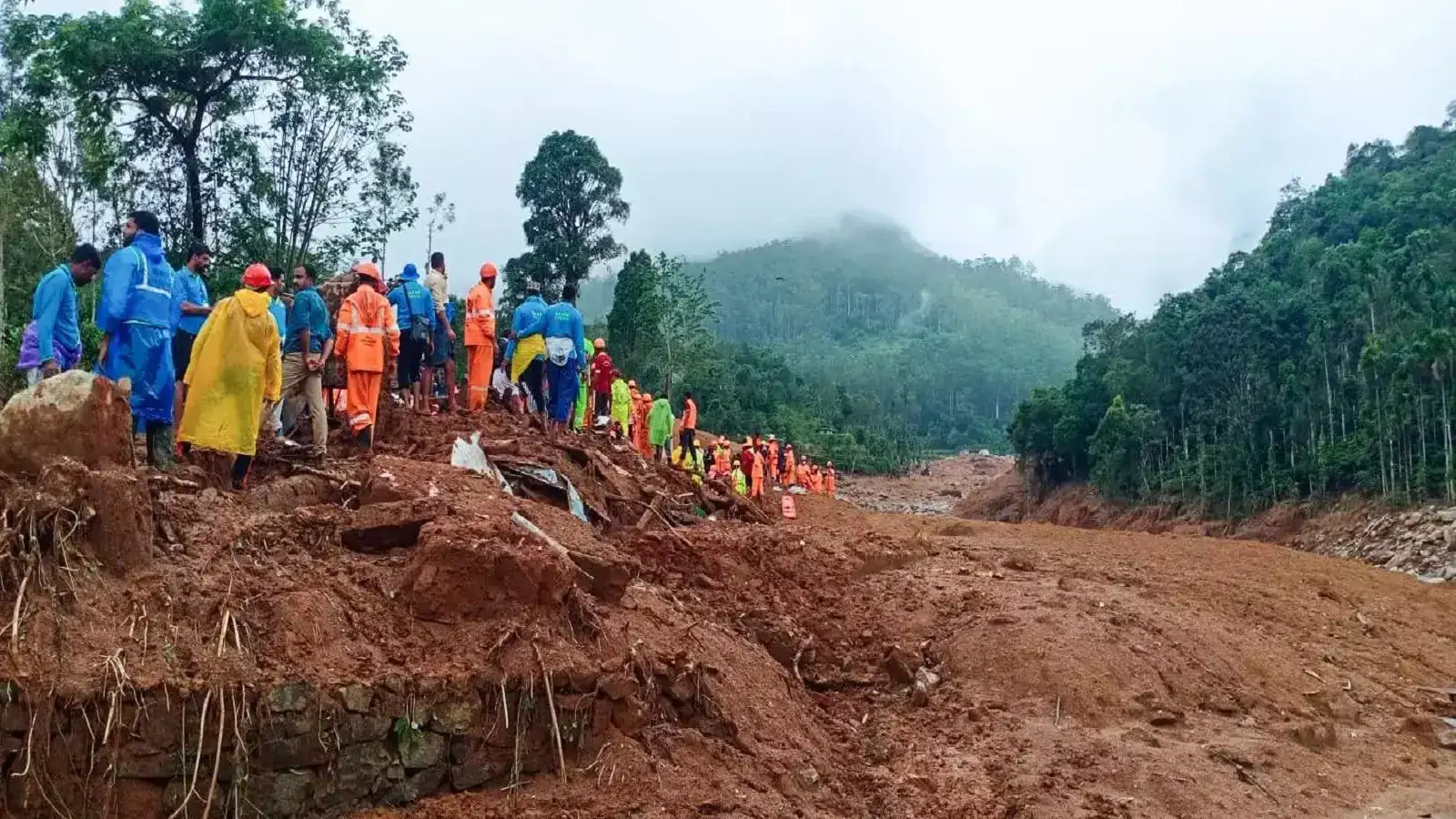 IMD Issues Red Alert In Kerala,Wayanad Landslides: ಸೊಬಗಿನ ಹಸಿರು ...