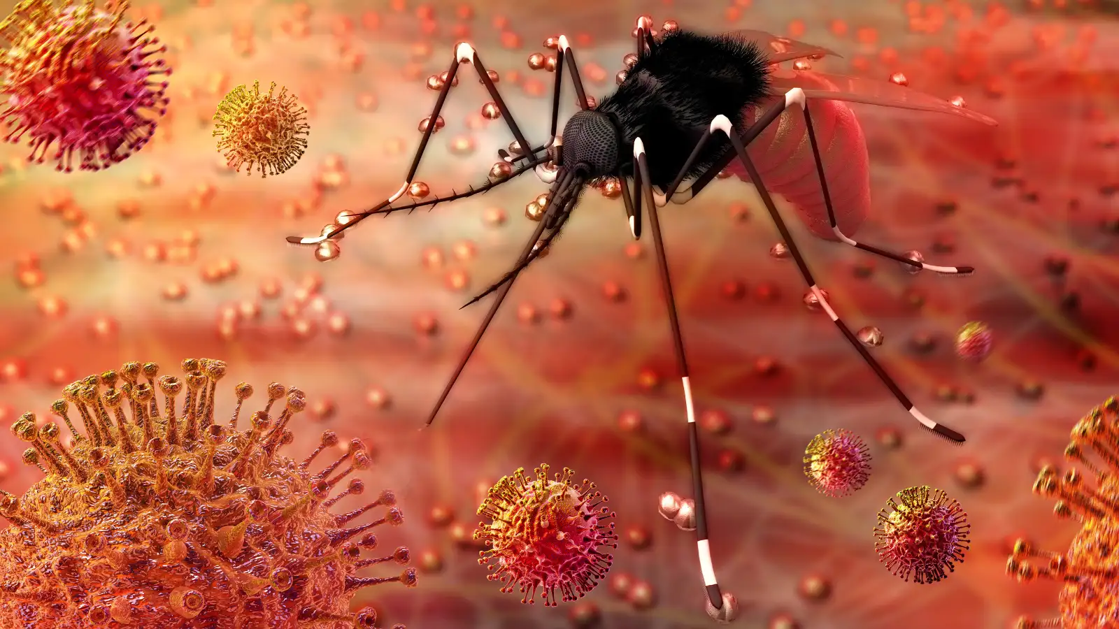 Zika Virus During Pregnancy: Risks & Prevention