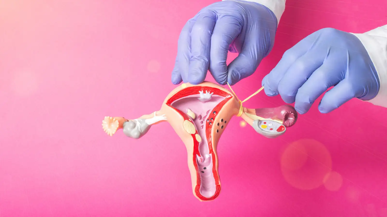 When Should You Get Your Fallopian Tubes Checked?