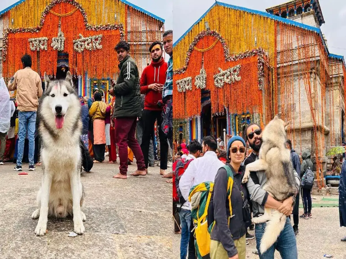 Man With Dog In Kedarnath,केदारनाथ में कुत्ते को लेकर पहुंचे शख्स के ...