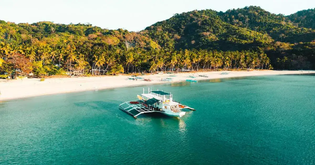 Now Air India Giving Delhi To Manila Direct Flight For Philippines ...