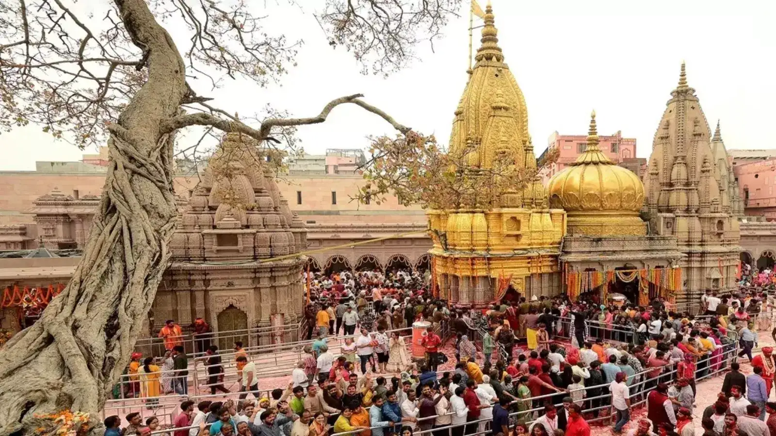 Baba Vishwanath Temple,क्या है 'विश्व के नाथ' की प्रतिदिन होने वाली ...