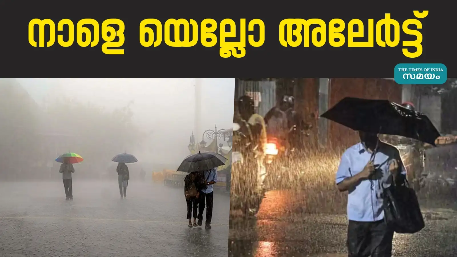 Kerala Monsoon 2024,നാളെ 6 ജില്ലകളിൽ യെല്ലോ അലേർട്ട്; അടുത്ത 5 ദിവസം ...