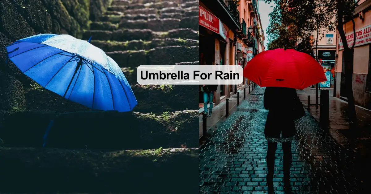 Folding Portable Umbrella,Amazon Prime Day Sale: धूप हो या बारिश, ये ...