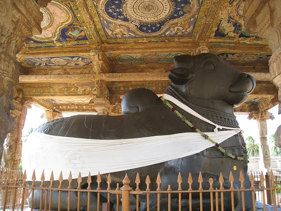 Brihadeeswara Temple Nandi,தஞ்சை பெரிய கோயில் பெரிய நந்தி ராஜராஜனால் ...