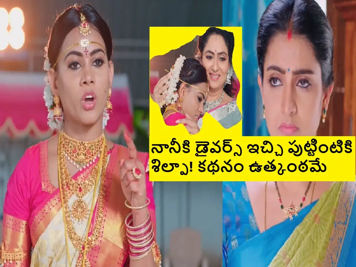 Vadinamma Serial,Vadinamma జూలై 22 ఎపిసోడ్: ‘శిల్పని వదిలెయ్యమని సీతమ్మ ...