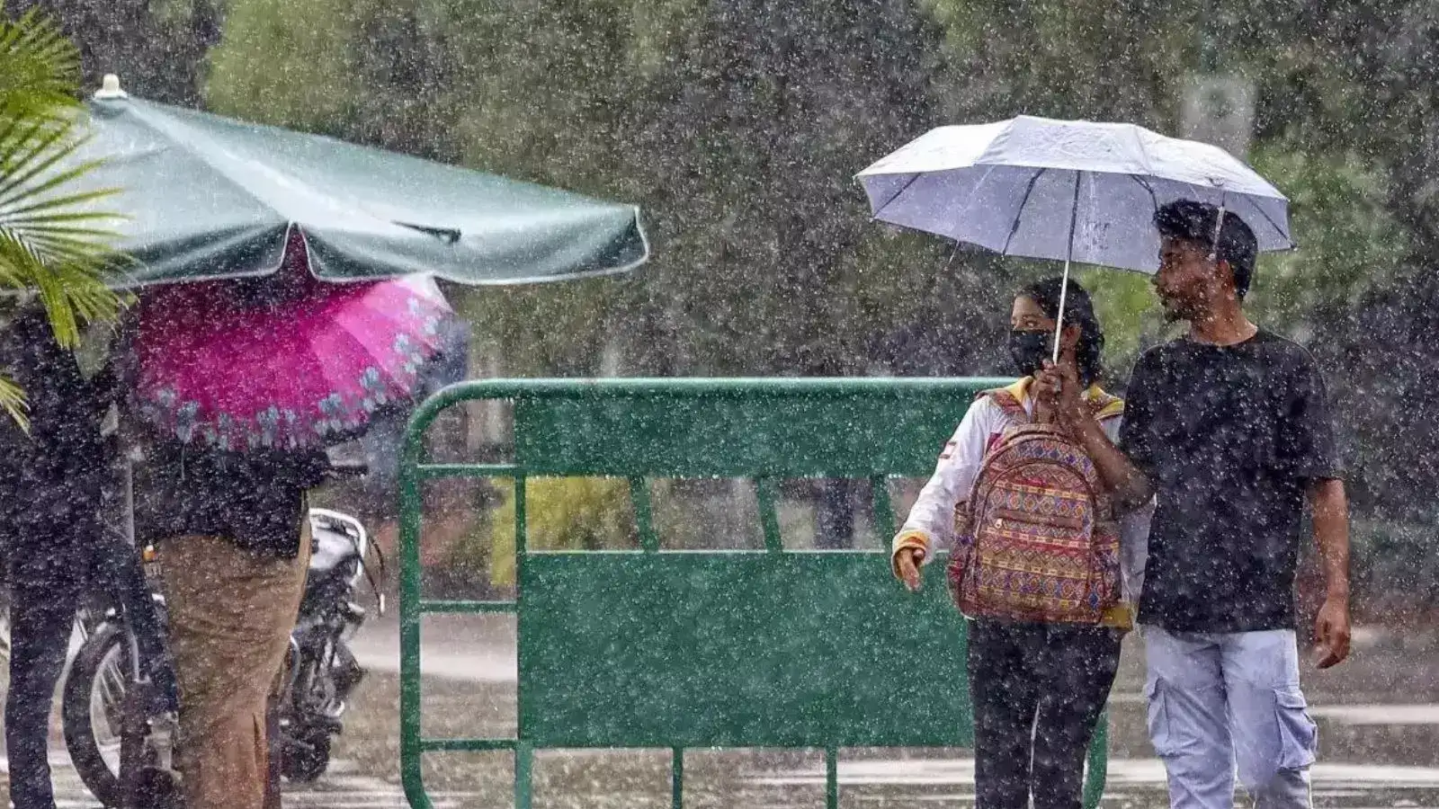 Rain In MP: मध्य प्रदेश में अगले 96 घंटे कैसा रहेगा मौसम, IMD ने जारी की भारी बारिश की चेतावनी ...