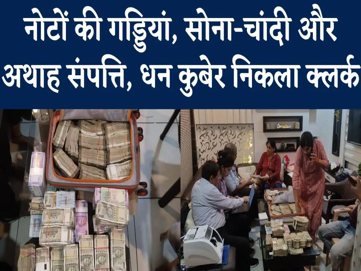 Jalna IT Raid: 400 लोगों के साथ 120 गाड़ियों का काफिला, राहुल वेड्स ...