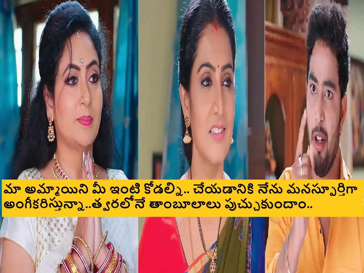 Vadinamma Serial,‘వదినమ్మ’ జూలై 3 ఎపిసోడ్: రఘురాం కుటుంబానికి శుభవార్త ...