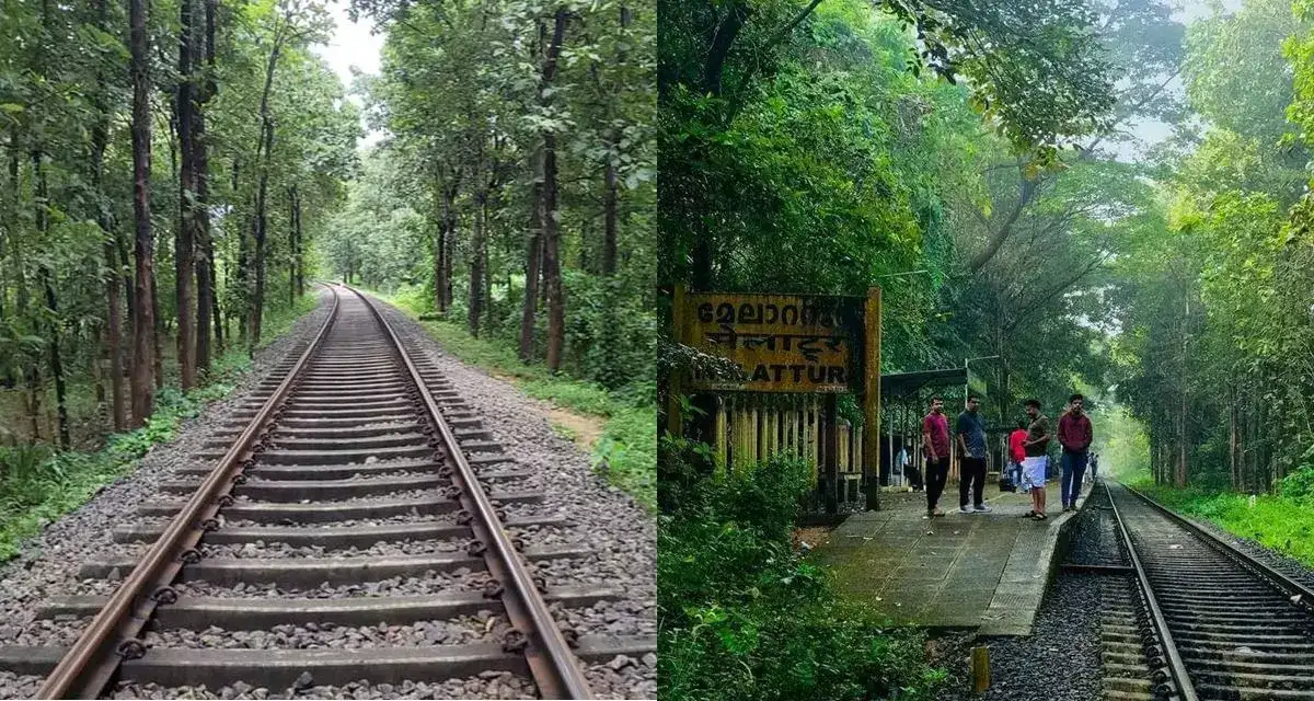 Shoranur Nilambur Rail Route Tree Cutting: ഷൊർണൂർ - നിലമ്പൂർ പാതയിലെ ...