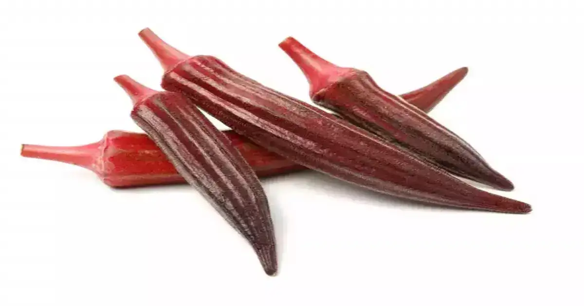 Red Lady Finger Health Benefits,Red lady finger: ఈ బెండకాయ తింటే ...