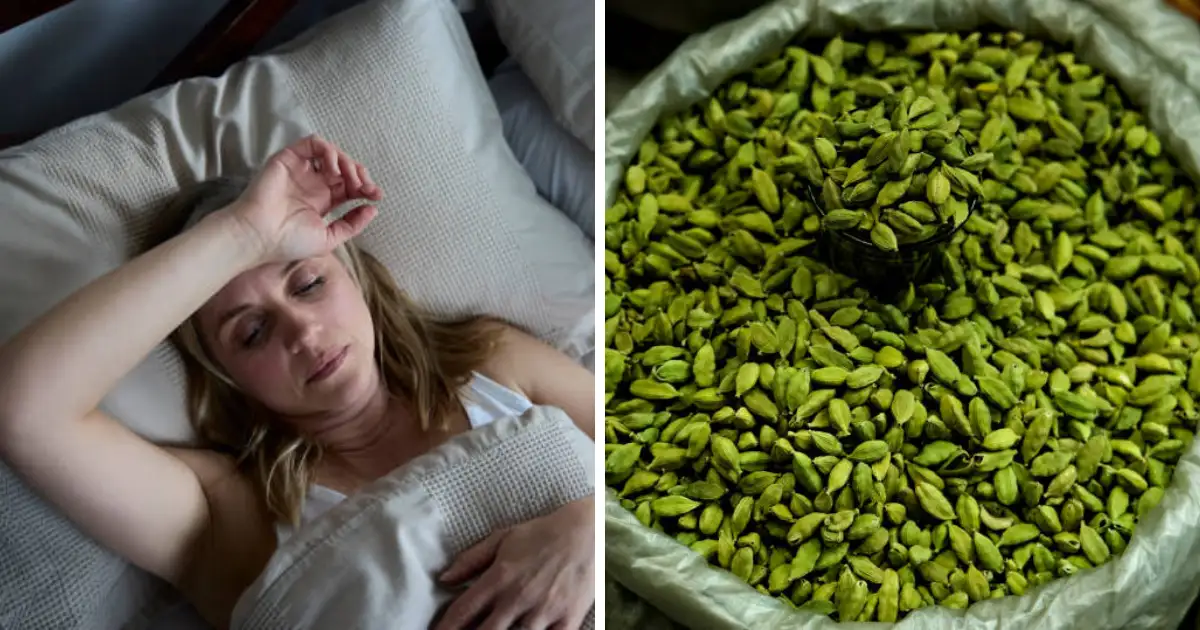 Benefits Of Sleeping With Cardamom In Mouth At Night, Cardamom Chewing ...
