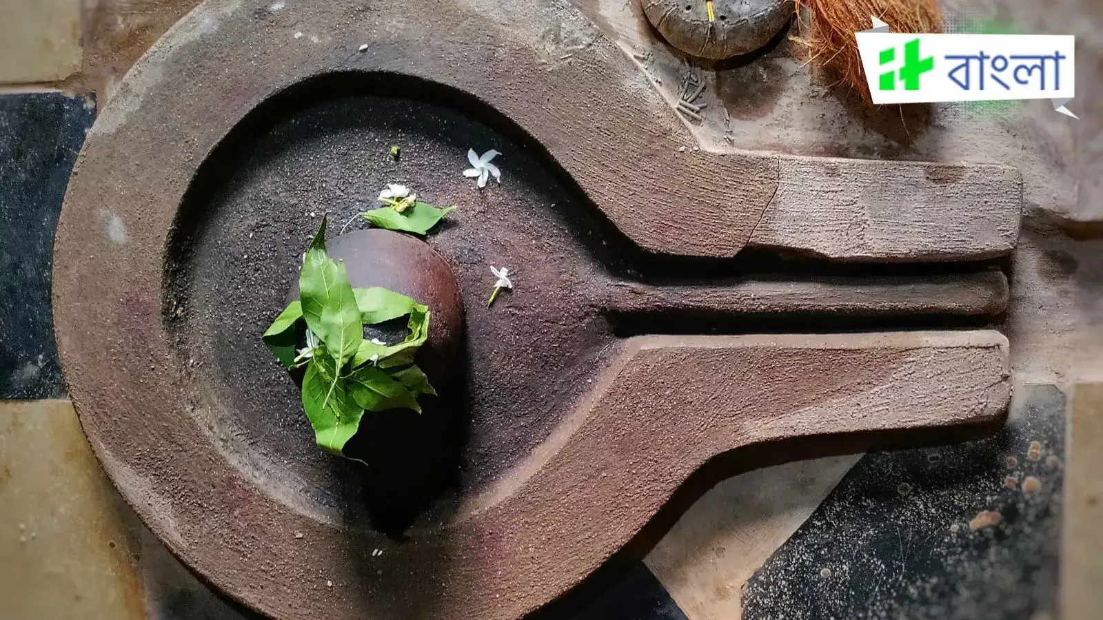 Srabon Mash 2025 Upay: শ্রাবণে বেলপাতার এই টোটকায় কমবে অর্থকষ্ট, মিটবে ...