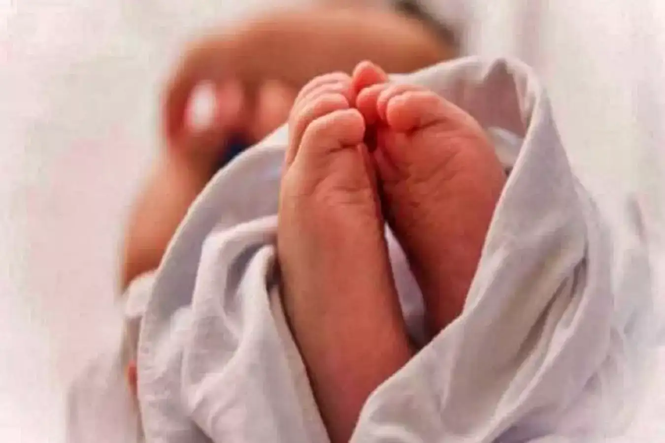 Foetus In 40 Days Baby,ఉబ్బెత్తుగా ఉన్న 40 రోజుల శిశువు పొట్ట ...