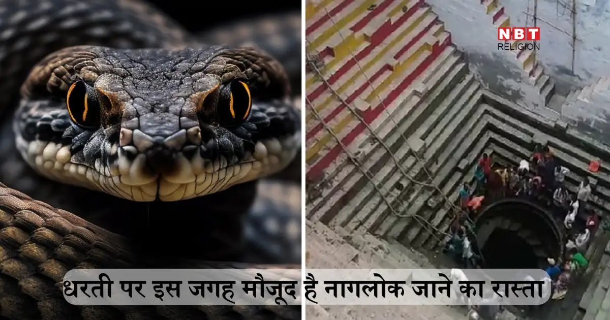 Nag Panchami 2024 | Naglok In Varanasi Uttar Pradesh: नागलोक का रास्ता ...