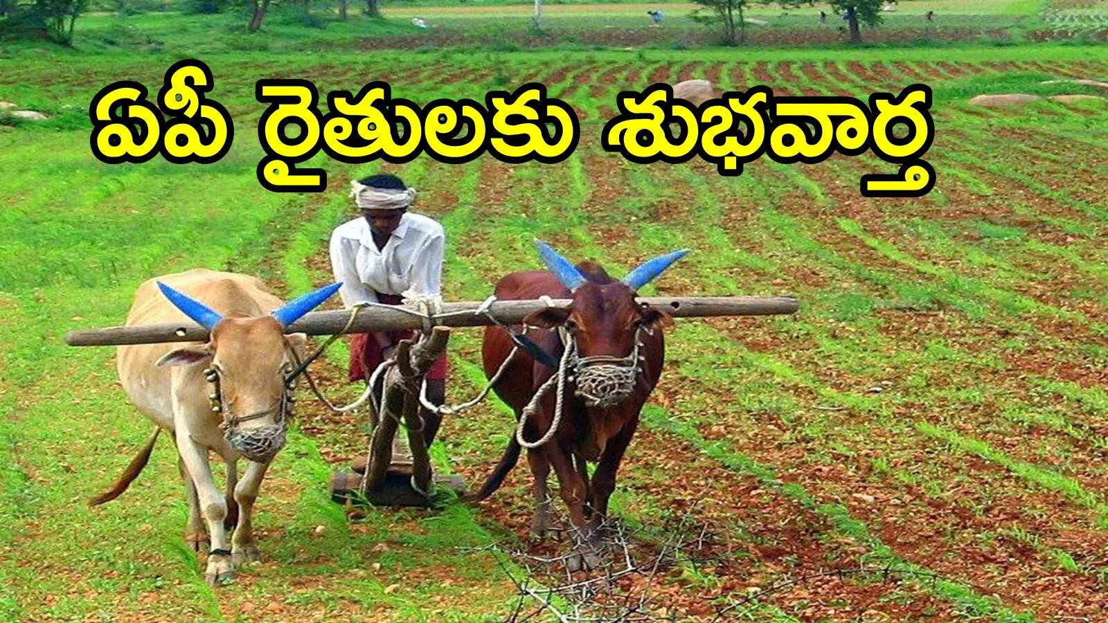 Annadata Sukhibhava,ఏపీ రైతులు ఒక్కొక్కరి ఖాతాలో రూ.20వేలు.. అన్నదాత ... Annadata Sukhibhava,ఏపీ రైతులు ఒక్కొక్కరి ఖాతాలో రూ.20వేలు.. అన్నదాత ...