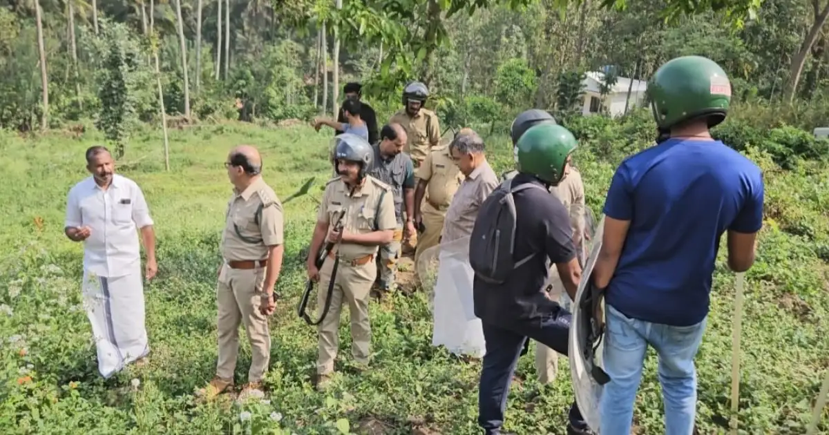 Tiger in Wayanad Pulpally: വീണ്ടും ജനവാസമേഖലയിൽ കടുവ; മൂന്ന് ...