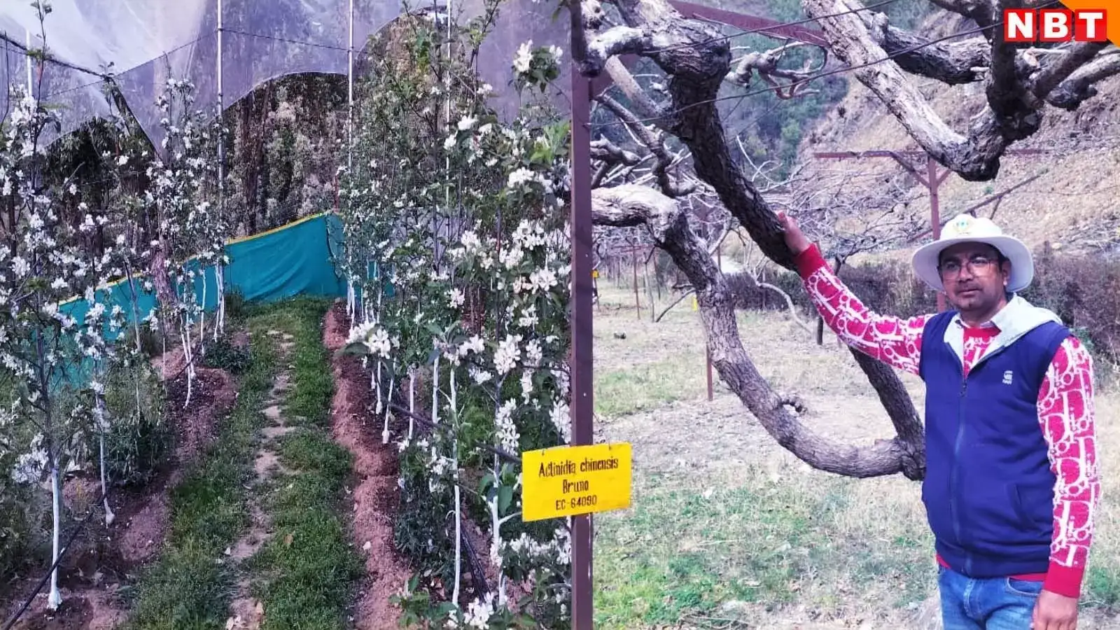 चम्पावत के कमल गिरी से लीजिए स्वरोजगार की प्रेरणा, सरकारी योजनाओं का ...