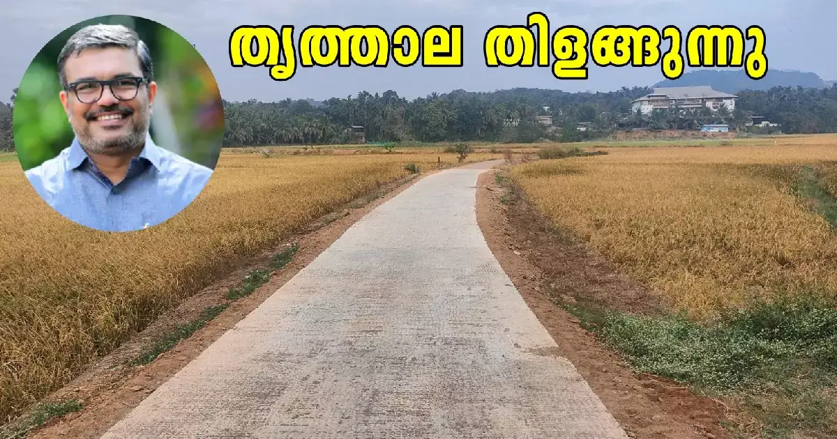 Rural Roads In Thrithala,30 ഗ്രാമീണ റോഡുകൾ, 8 കോടി രൂപ; തൃത്താല ...