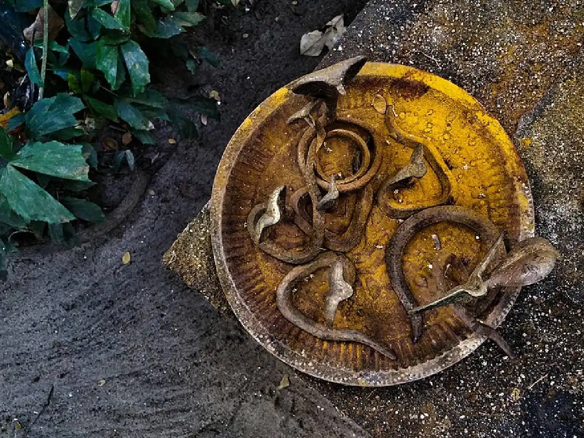 Ayilyam Nakshatra Predictions,ആയില്യം അയൽപക്കം മുടിക്കുമോ ...