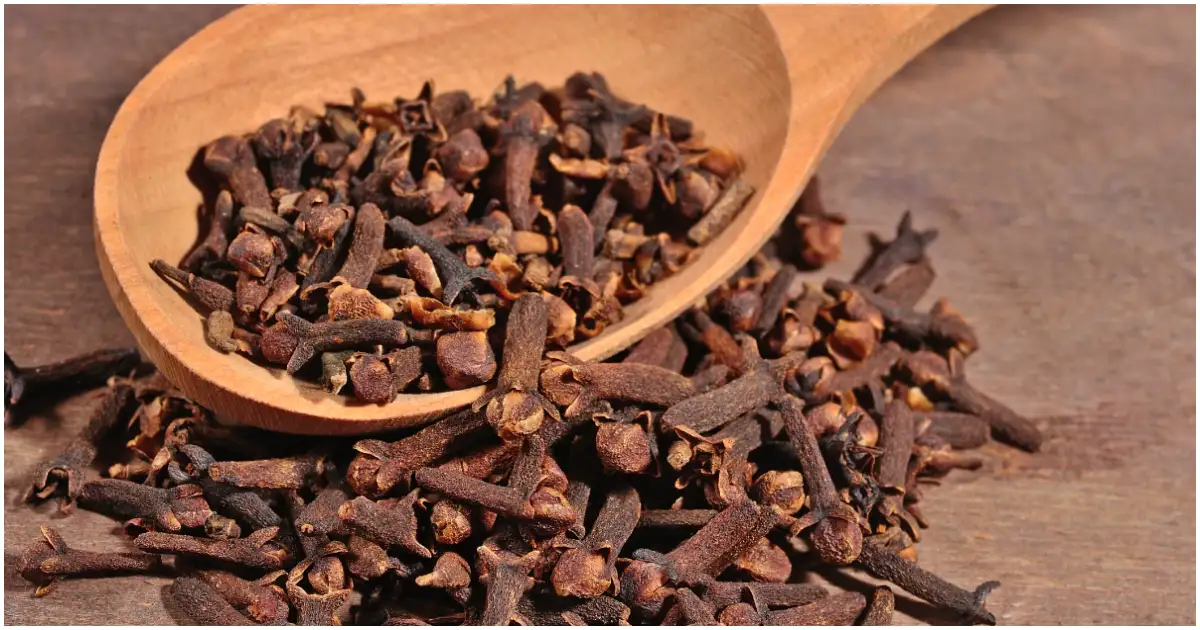 Chewing Cloves Benefits,ಲವಂಗದಿಂದ ಹಲ್ಲು ನೋವು ಮಾತ್ರವಲ್ಲ, ಈ ಎಲ್ಲಾ ...