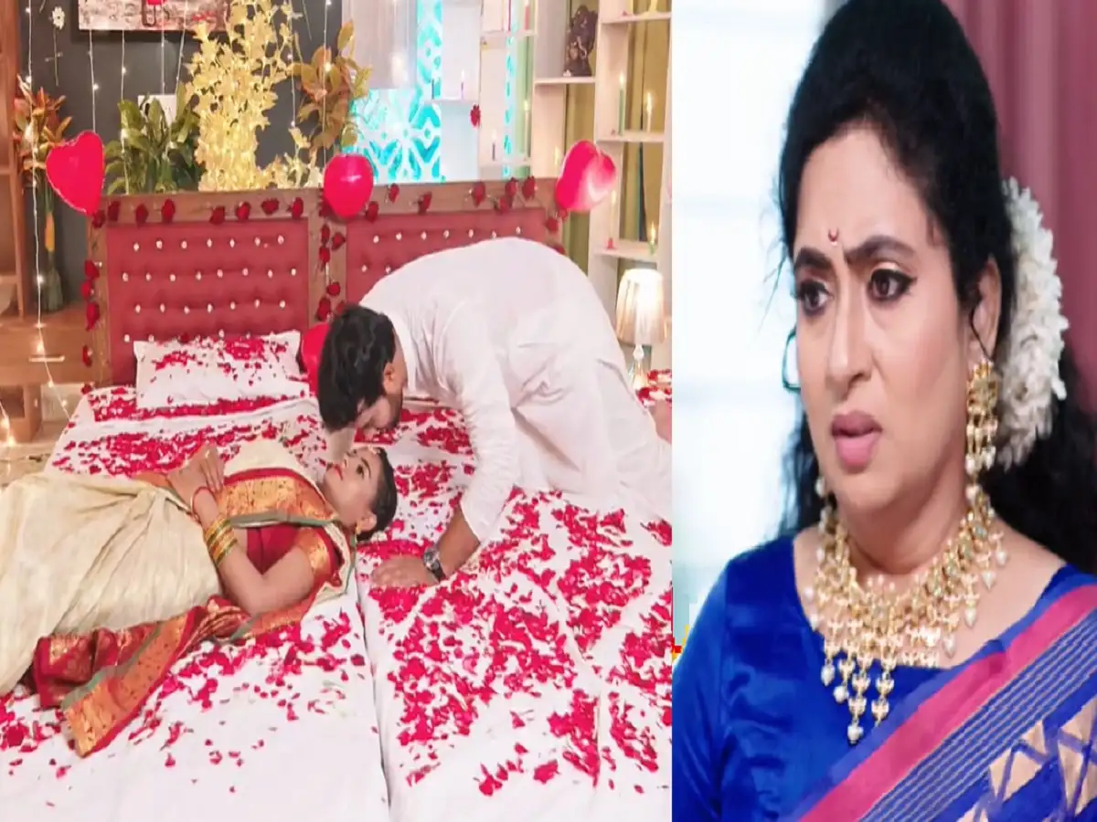 Vadinamma Serial,Vadinamma జూలై 30 ఎపిసోడ్: నానీ-శిల్పల రొమాన్స్‌ షురు ...