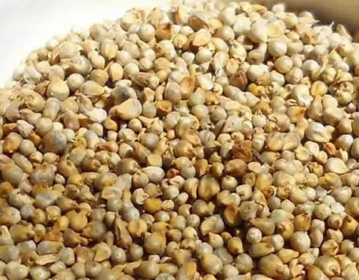 Benefits Of Kambu In Tamil,வயசுக்கு வந்த பெண்களுக்கு மாசத்துக்கு ...