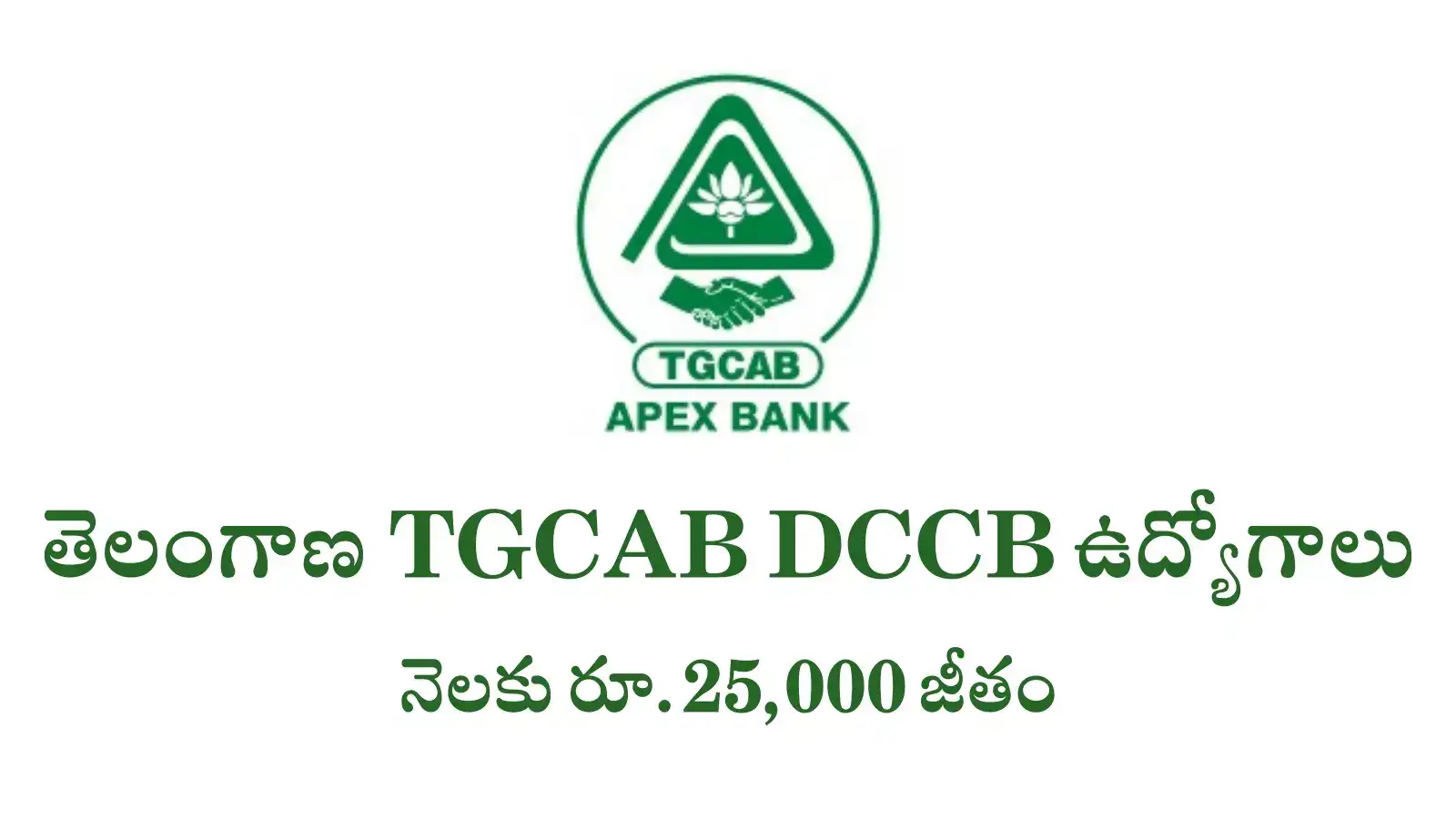 Tscab Recruitment 2024,తెలంగాణ DCCB ఉద్యోగాలు.. నెలకు రూ.25,000 జీతం ...