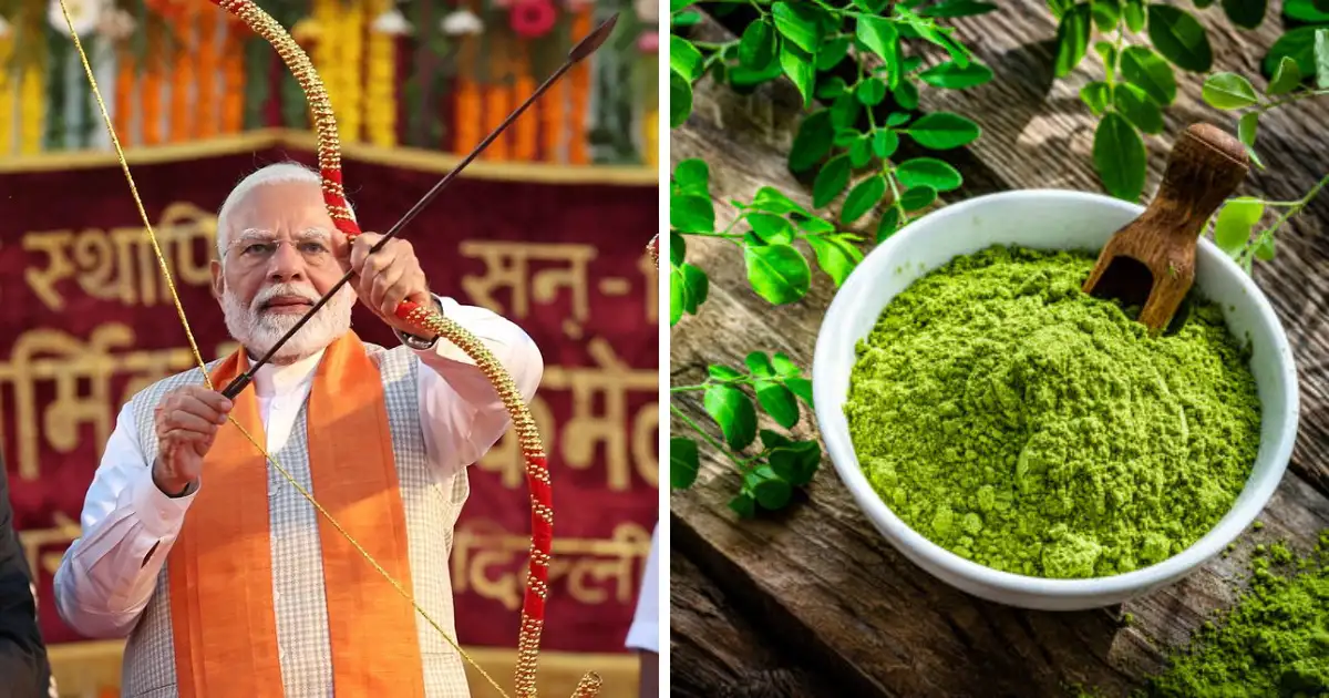 Narendra Modi Diet And Favorite Dish, Moringa Powder Or Shevga bhaji ...