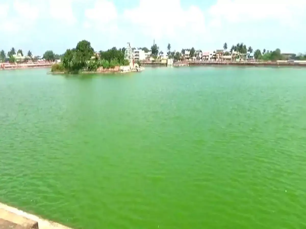 Haridra River Boat House,மன்னார்குடி ஹரித்ரா நதியில் விரைவில் படகு ...