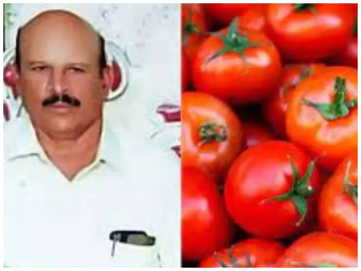 Tomato Farmer Murder,லட்சாதிபதியான தக்காளி விவசாயி... பணத்திற்காக ...