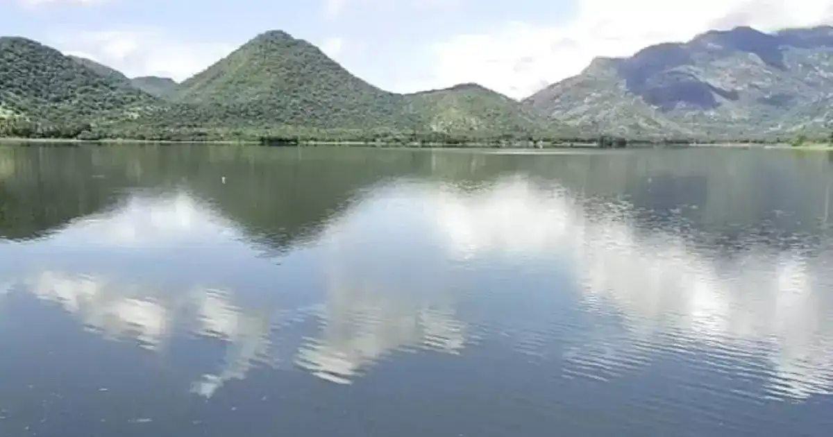 Manjalar Dam,மஞ்சளாறு அணை திறப்பு; தேனி, திண்டுக்கல்லில் 5,259 ஏக்கர் ...