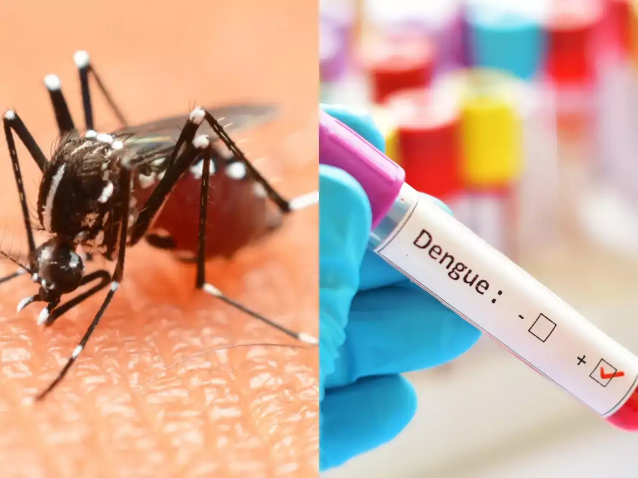 Foods For Dengue Patients,dengue fever : டெங்கு வந்தவர்கள் அதிலிருந்து ...