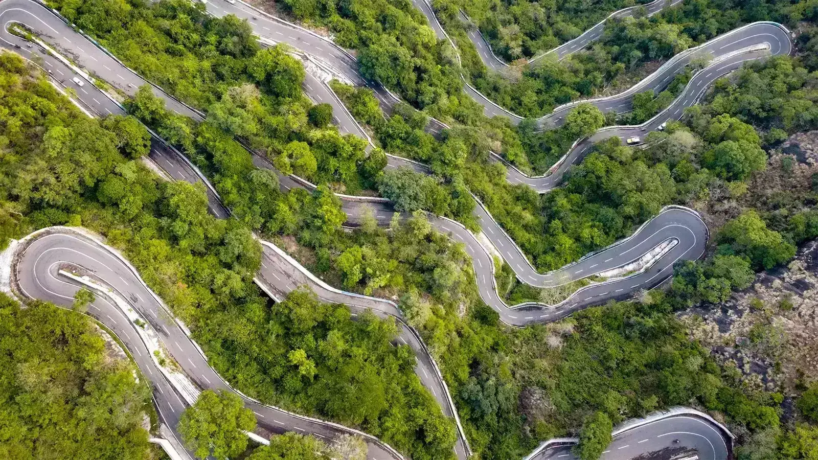 yercaud Summer Festival flower show 2024 : களை கட்டும் ஏற்காடு: கோடை ...