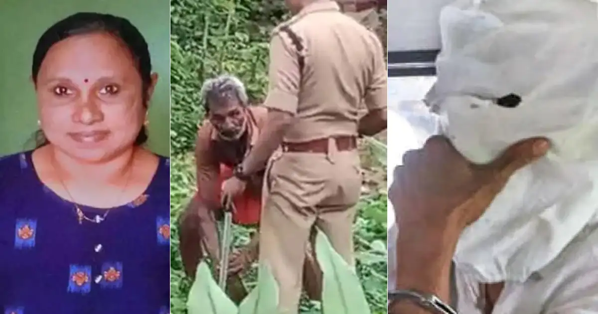 Elanthoor Human Sacrifice,നരബലി: വൃക്കയും കരളുമില്ലാതെ റോസ്‌ലിൻ്റെ ശരീരം; മൃതദേഹങ്ങളിലെ ആന്തരിക ...