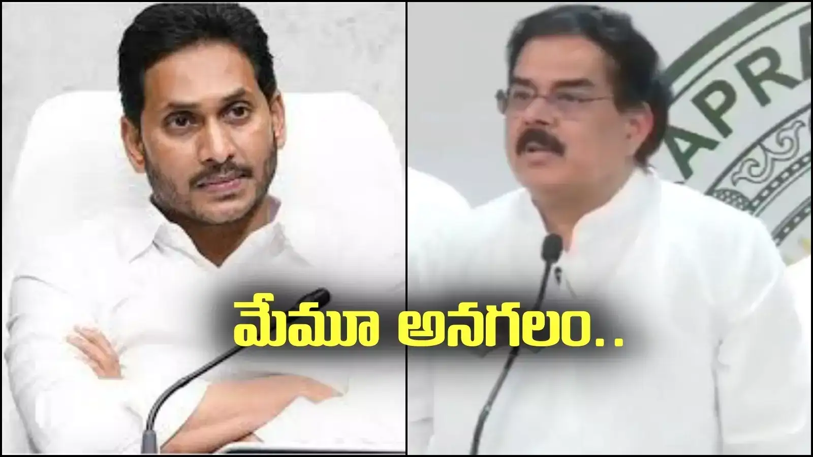 Janasena On Ys Jagan,కోడికత్తికి ఎక్కువ.. గొడ్డలికి తక్కువ.. జనసేన సంచలన వ్యాఖ్యలు - janasena ...