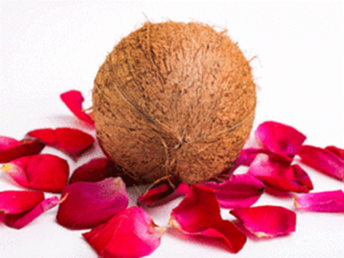 क्यों नारियल पेड़ की चोटी पर लगता है? जानिए शास्त्रों में वर्णित अद्भुत ...