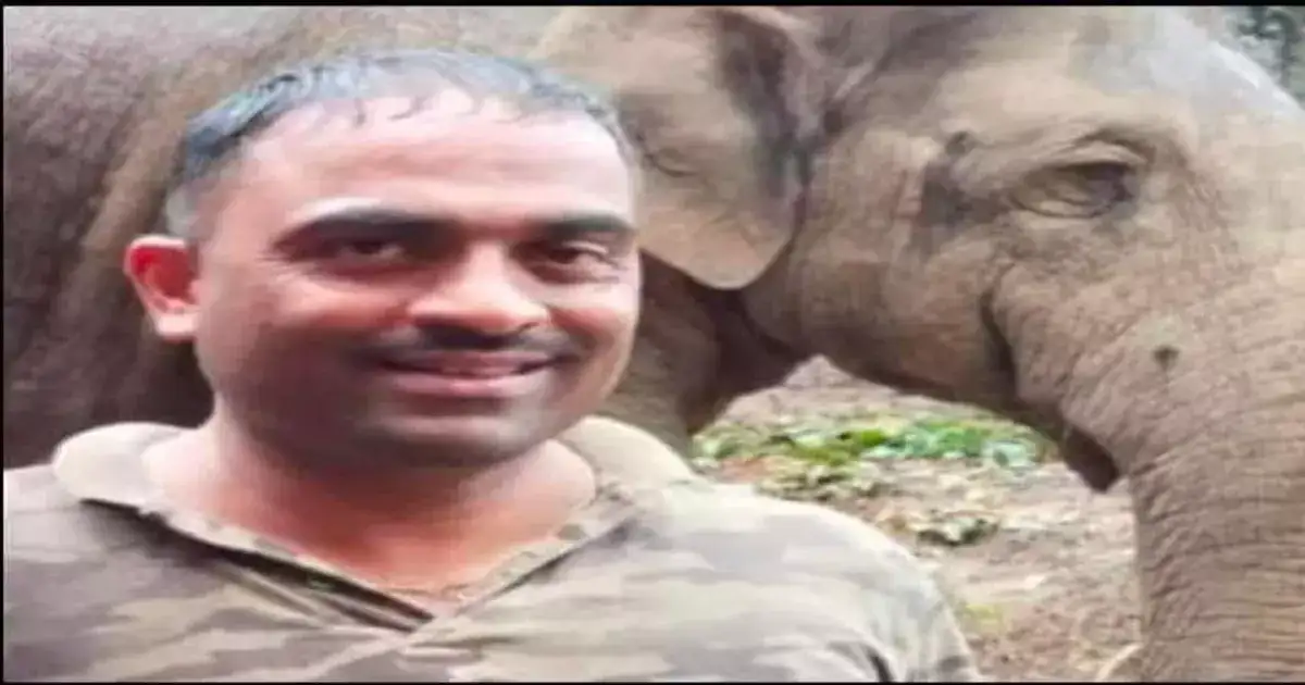 Forest Guard Death,Hassan Forest Fire: ಕಾಡ್ಗಿಚ್ಚು ನಂದಿಸುವಾಗ ಗಾಯಗೊಂಡಿದ್ದ ...