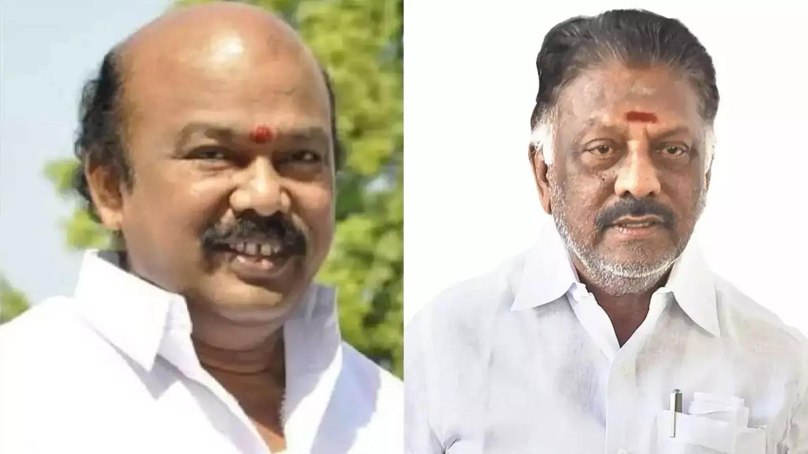 Rajan Chellappa: அதிமுகவில் மீண்டும் ஓபிஎஸ்... இன்னும் 6 மாசம் பொறுங்க ...