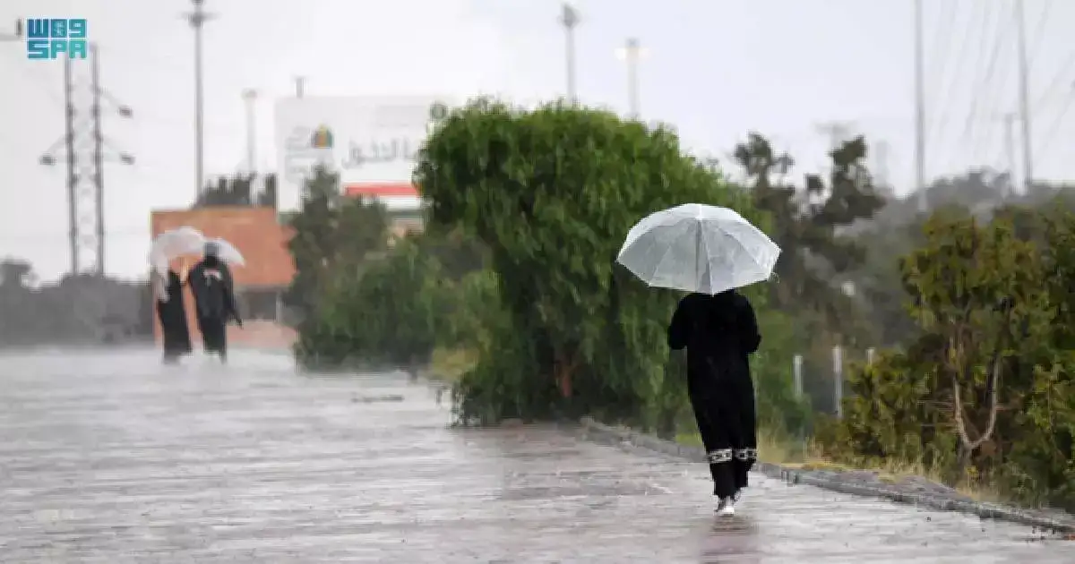 Saudi Weather,Saudi Weather: തിങ്കളാഴ്ച വരെ ശക്തമായ കാറ്റും പേമാരിയും ...