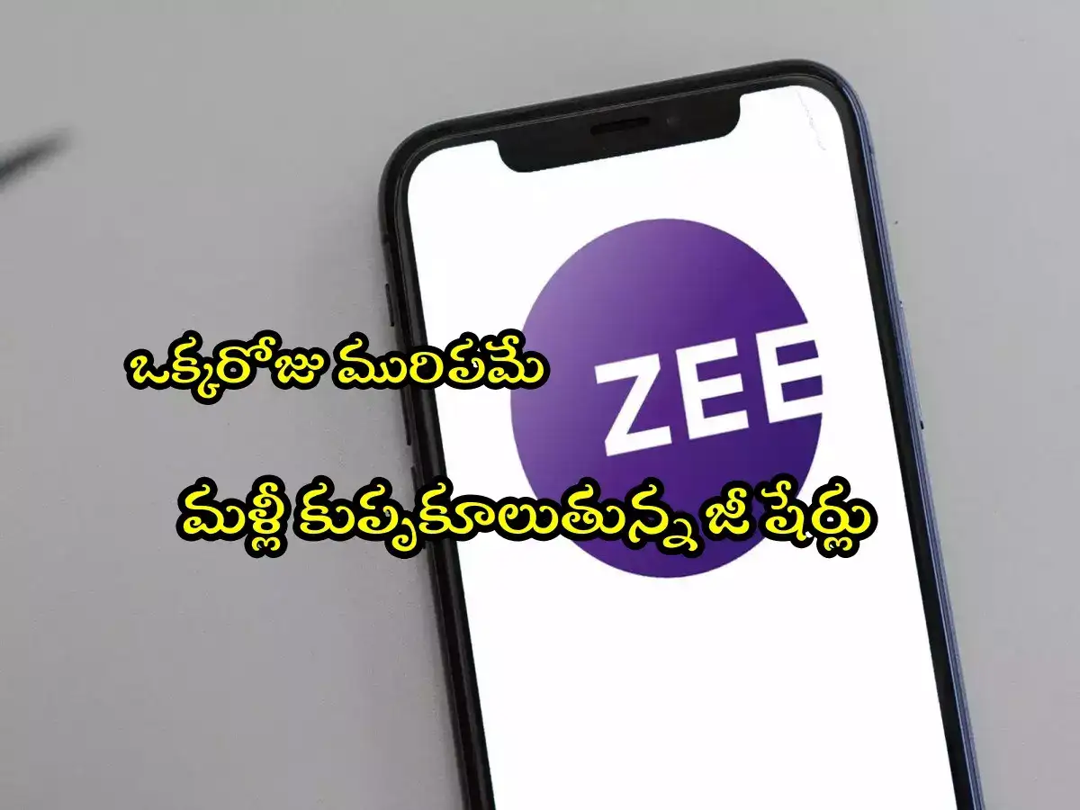 Zee Shares Crash 11 Percent Following SEBI Found Rs 2000 Crore Accounting Issue - రూ.2000 కోట్ల ...