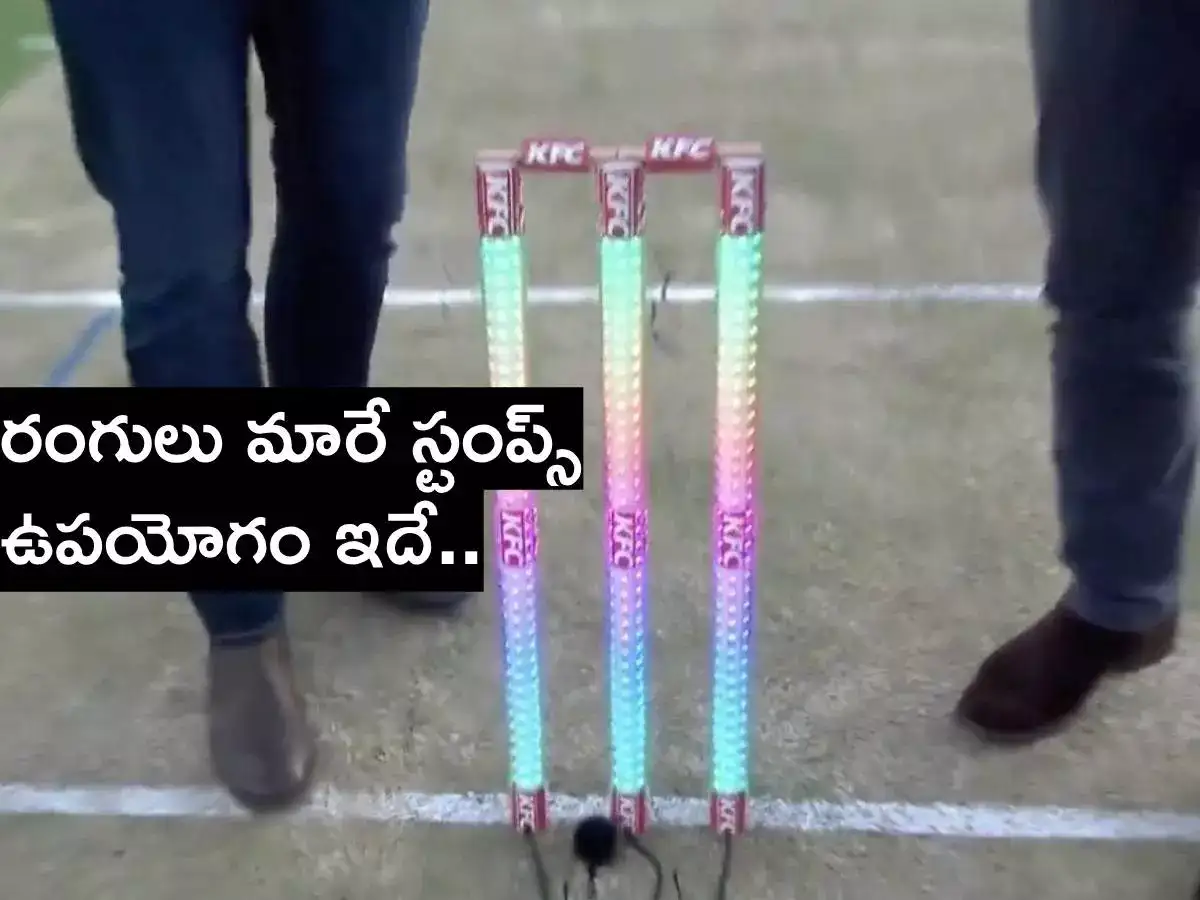 Electra Stumps KFC Big Bash League 13 Brand Latest Innovation Unveiled ...