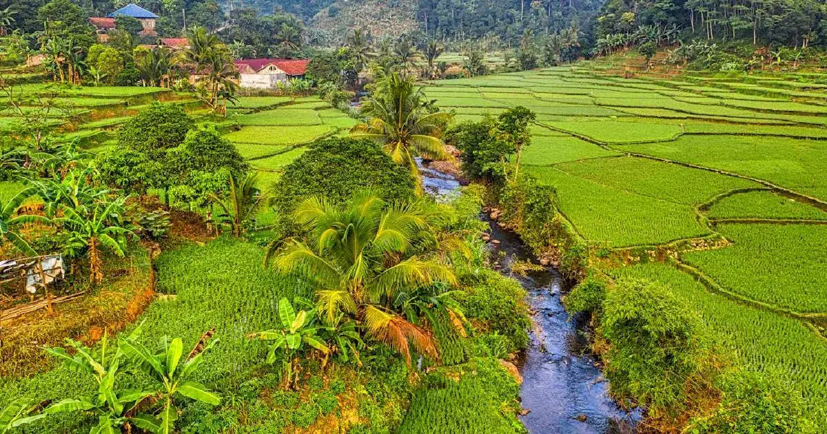 Land Reclassification In Kerala,ഭൂമി തരം മാറ്റത്തിന് സുവർണാവസരം ...