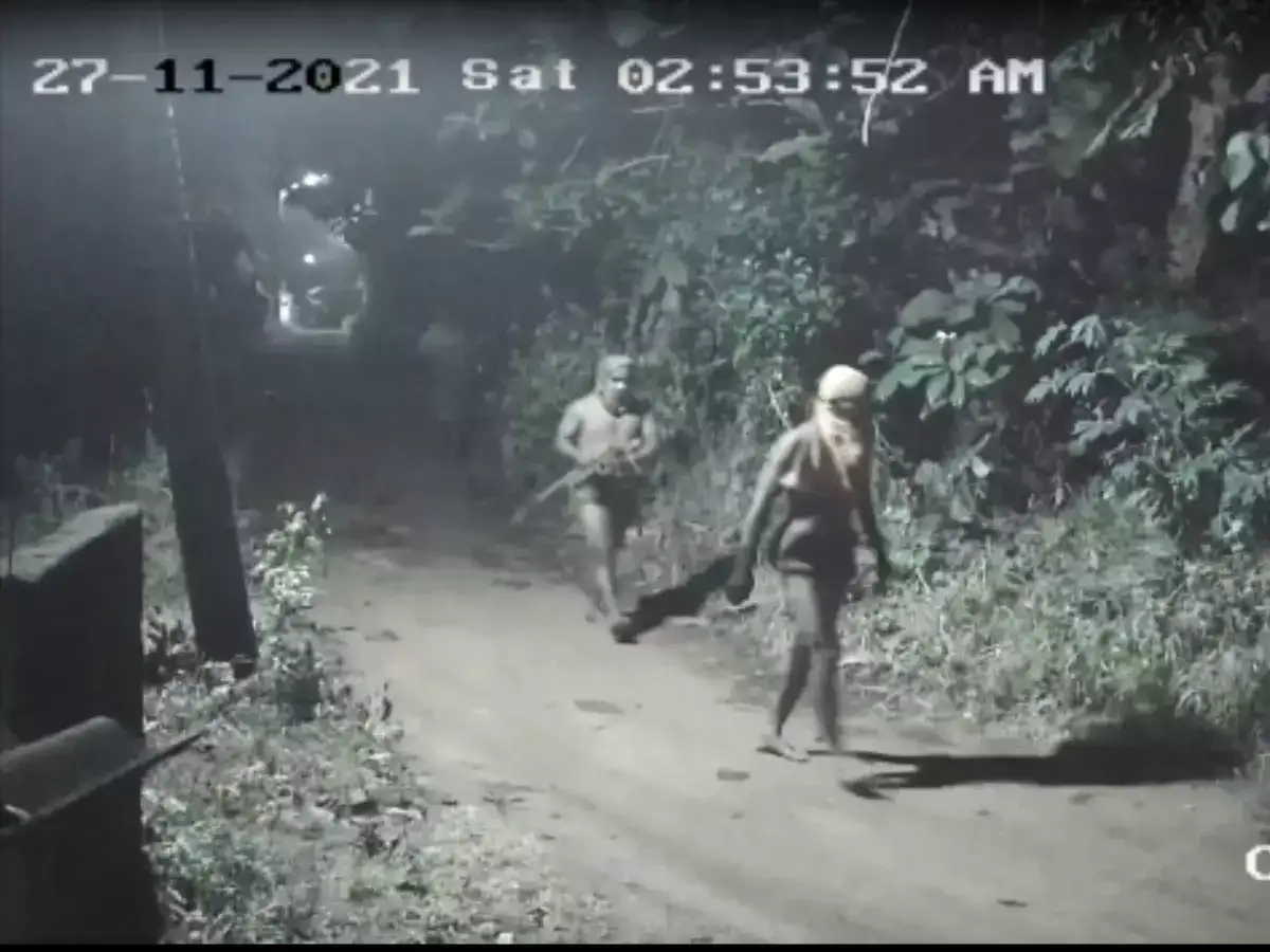 ആയുധമേന്തി, അടിവസ്ത്രം ധരിച്ച് മോഷ്ടാക്കൾ; കോട്ടയത്ത് കുറുവാസംഘമോ ...