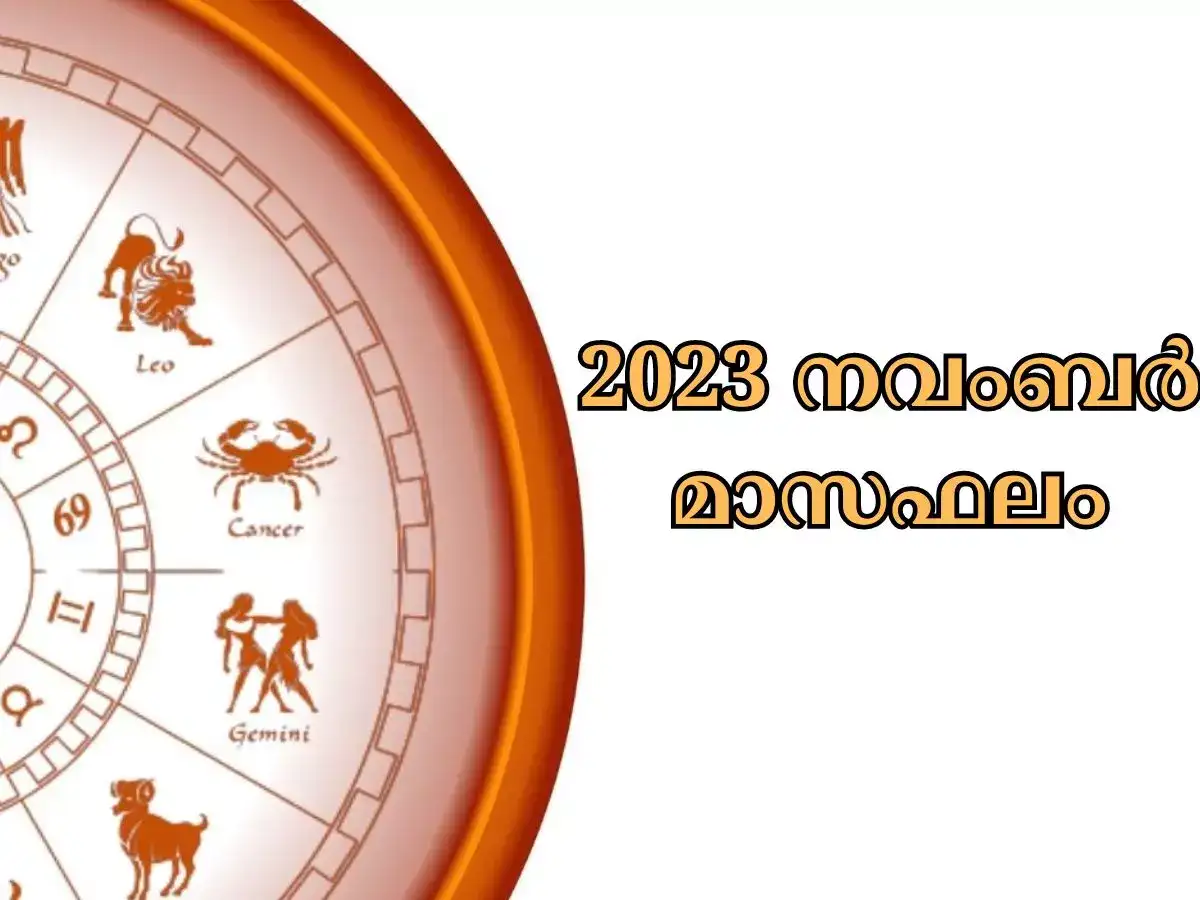 November Horoscope 2023 | നവംബർ മാസഫലം - monthly horoscope predictions ...