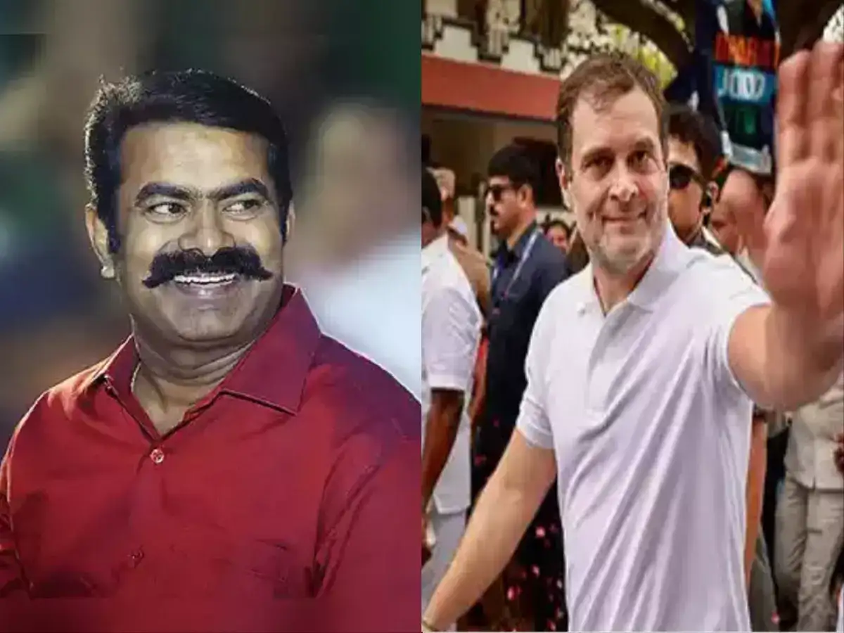 Seeman Modi Rahul,"யாரு.. ராகுல் காந்தியா".. அவரை மோடி ஊதித் ...